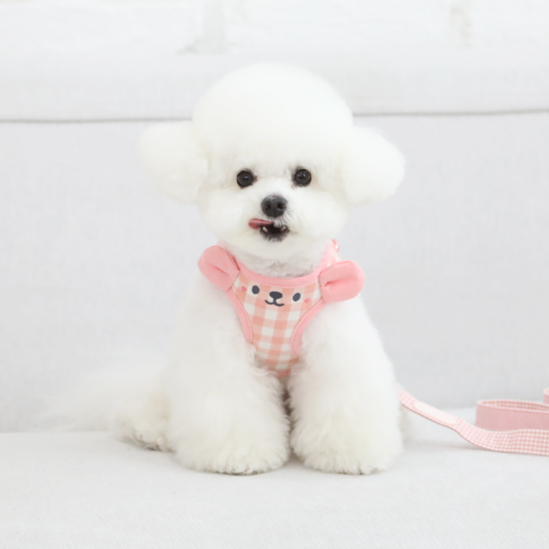Smiley Teddy Bear Harness – Pet Tone Official